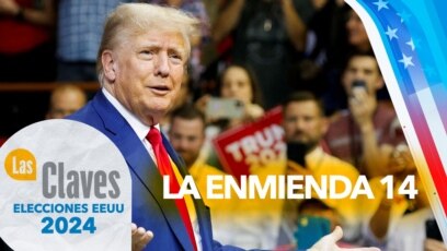 Ejemplos De La Enmienda 14