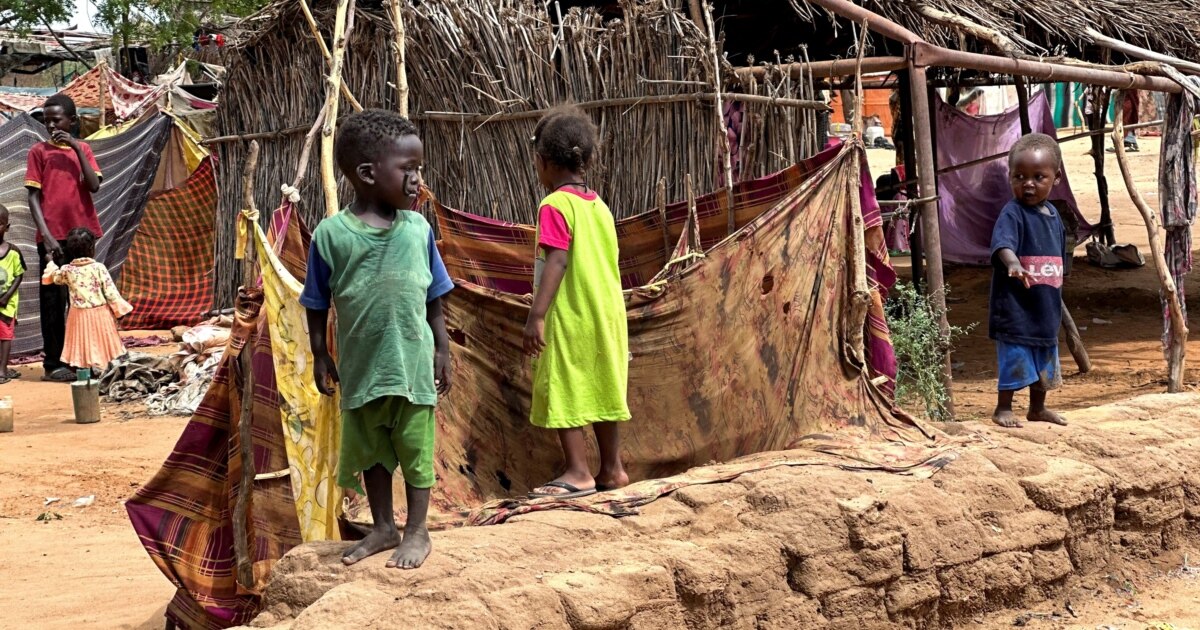 The Needless Horror in Darfur Must Stop
