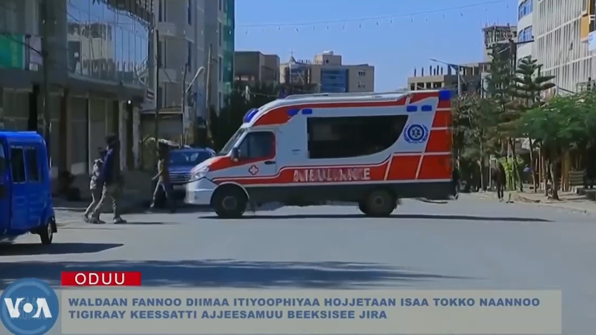 Waldaan Fannoo Diimaa Itiyoophiyaa Hojjetaan Isaa Tokko Naannoo ...