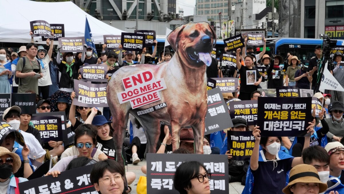 Koreya y'Epfo Yemeje Integuro y'Itegeko Ribuza Kudandaza no Kurya ...