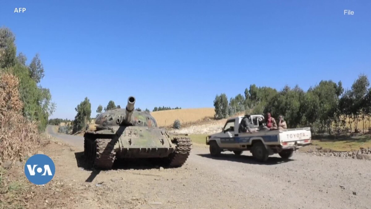 Imaammanni Haqa Ce’umsaa Itiyoophiyaa Keessatti Hojii Irra Ooluu Danda’aa?