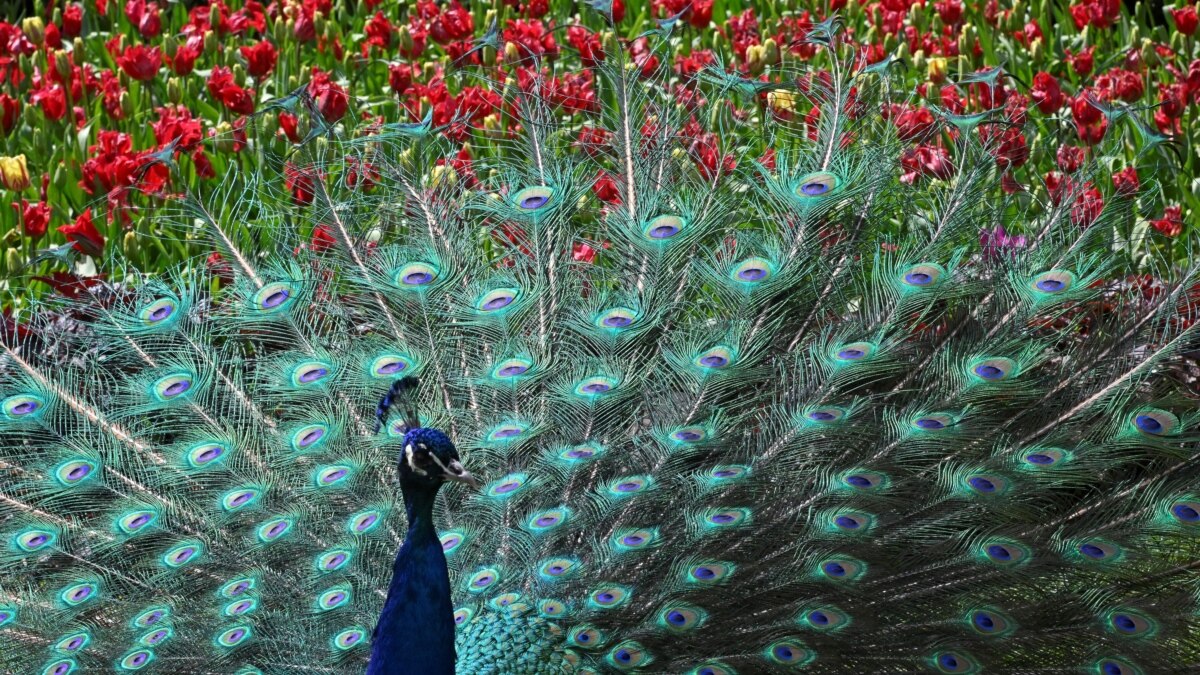 Светот низ фотографии