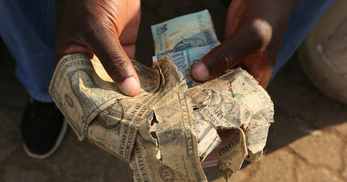 Zimbabwe Extends Multi-Currency System to 2030