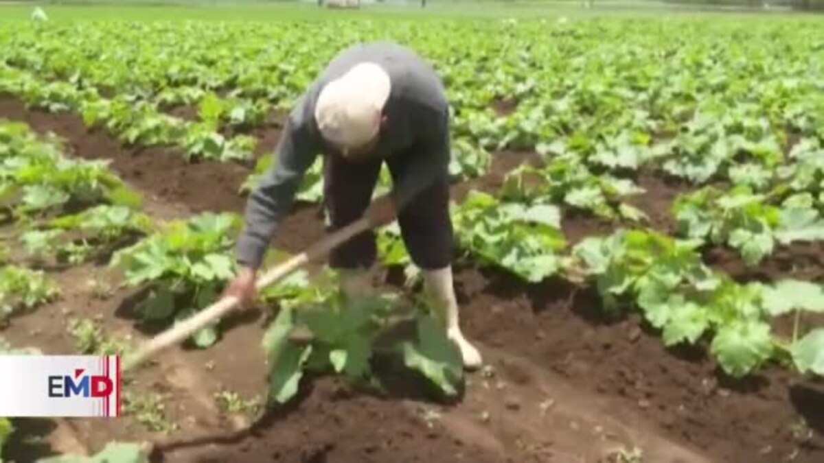 Guatemala adopta un proyecto de inclusión financiera rural