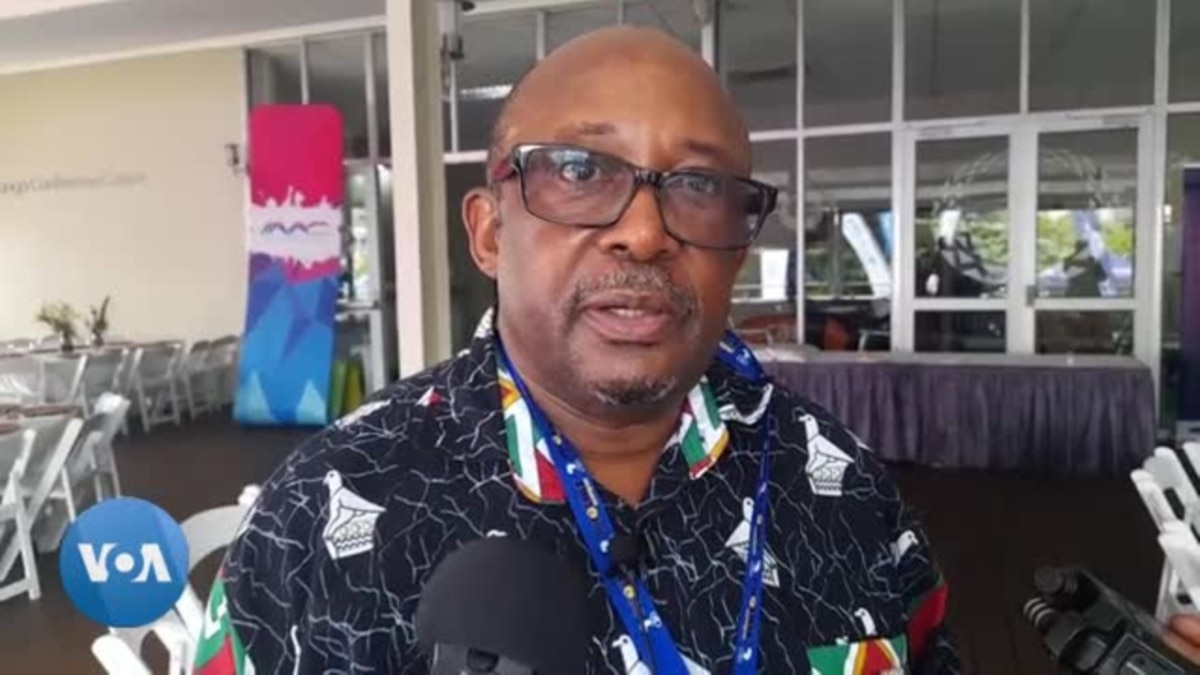 Ambassador Chifamba Blames Media for Causing Alarm About Zimbabwe Among ...