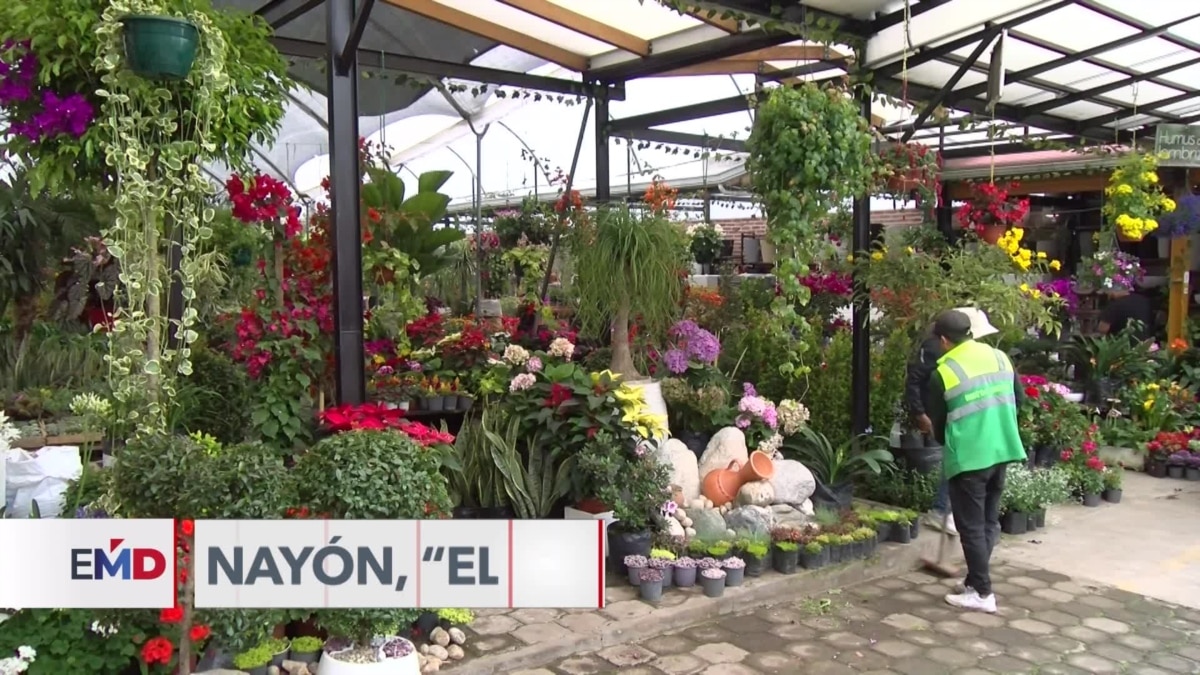 Nayón, “el jardín de Quito”, destaca como atractivo turístico por sus ...