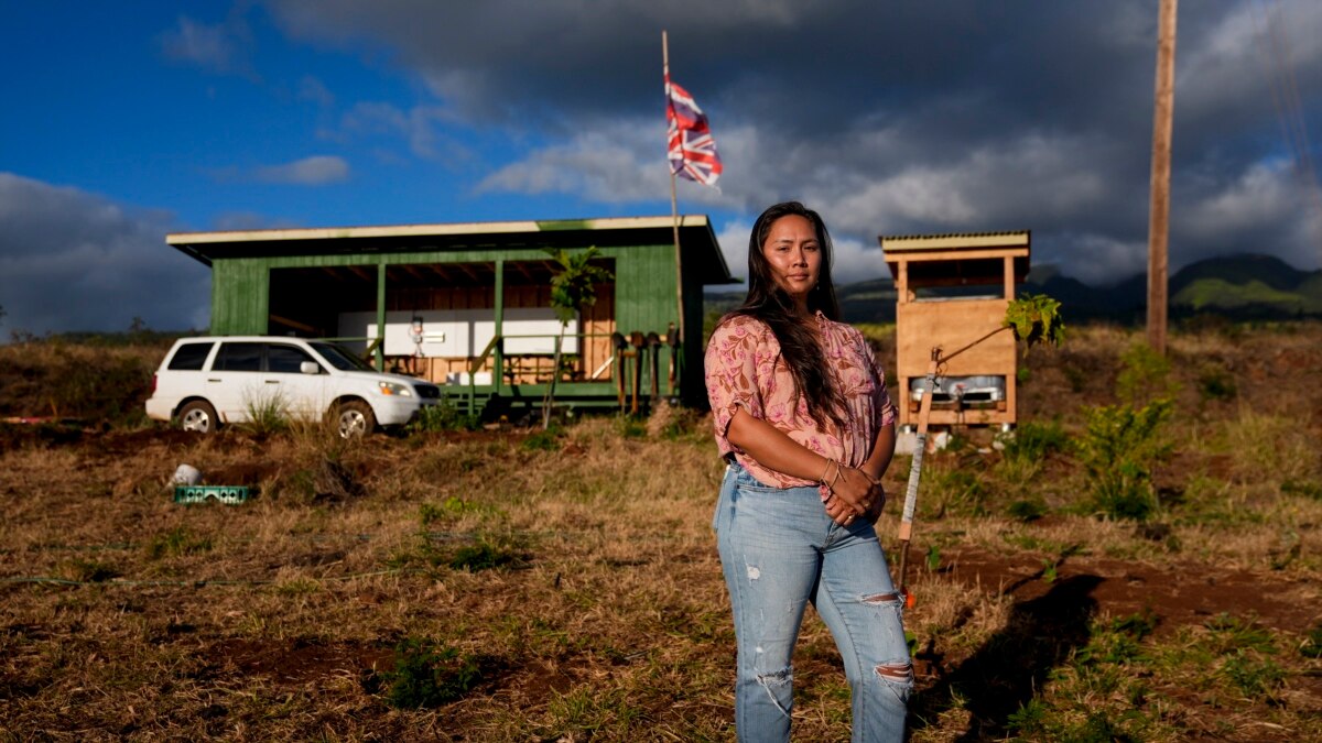 'We're going to survive and it's going to come back': A year after Maui ...