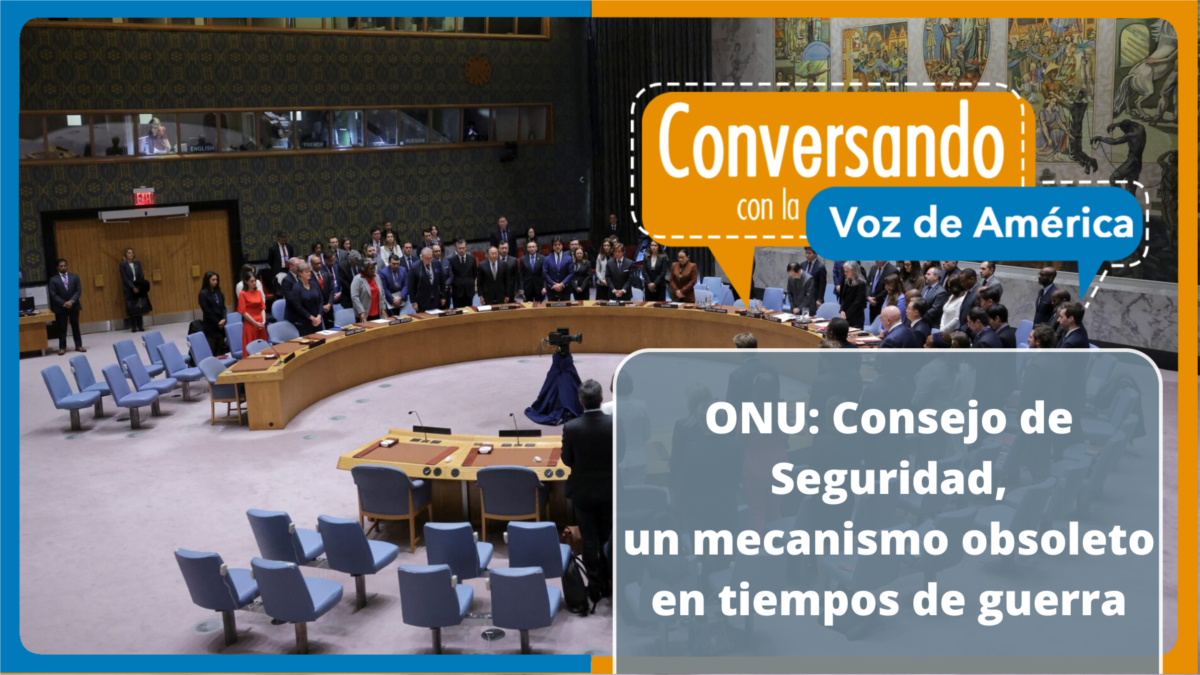 El Consejo de Seguridad de la ONU y su capacidad de preservar la paz ...