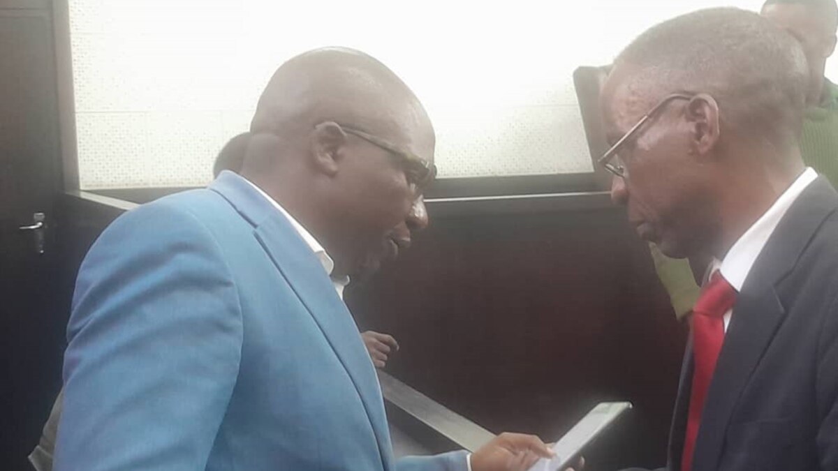 Zimbabwe Opposition Leader Sentenced to 4 Years in Prison for 'Inciting ...