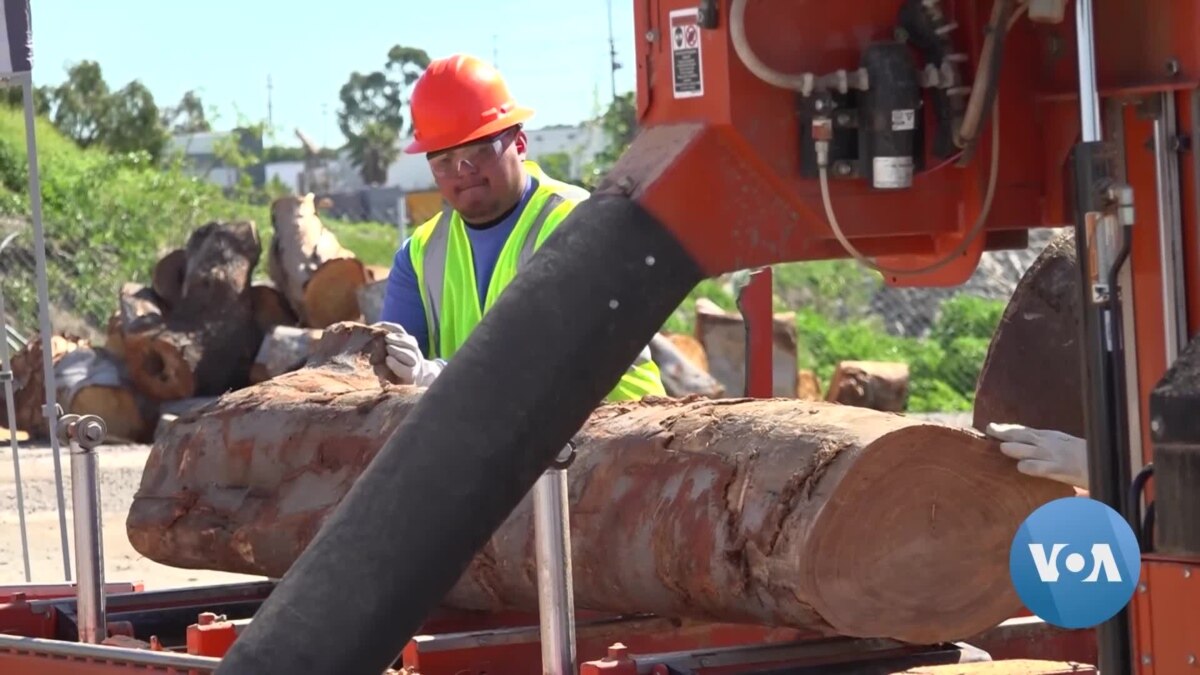 Recycling Trees In An Urban Sawmill