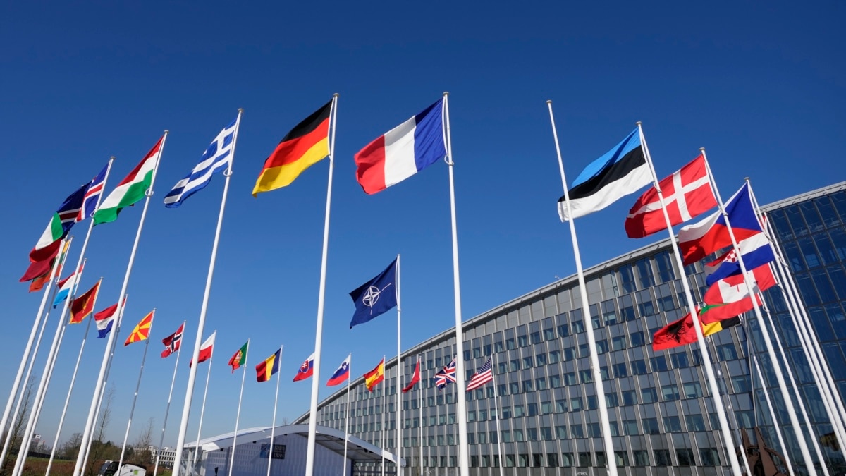 Los máximos representantes de los países miembros de la OTAN llegan a ...