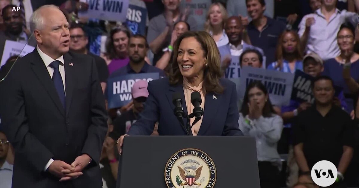Democratic Party delegates set to nominate VP Harris as US election ...