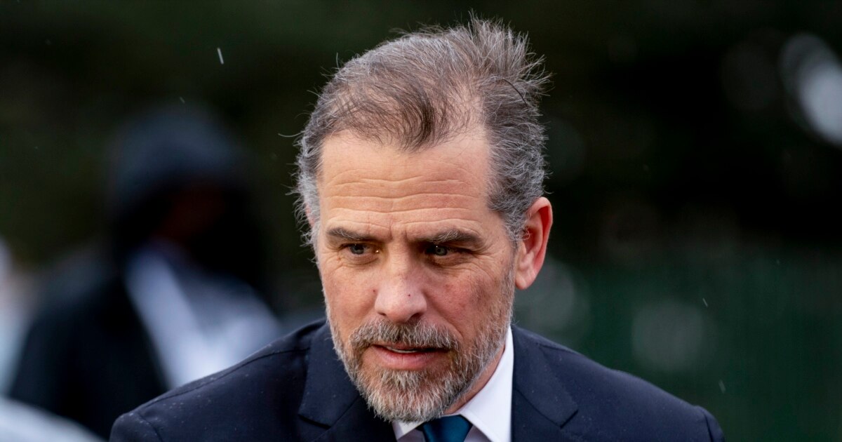 Hunter Biden, fils du président américain plaide coupable dans deux ...