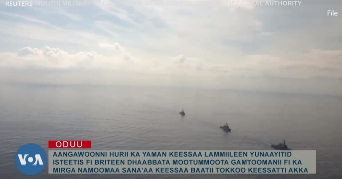 Tokkummaa Mootummootaaf Kan Hojjetan Lammiileen Yunaayitid Isteetisiif ...