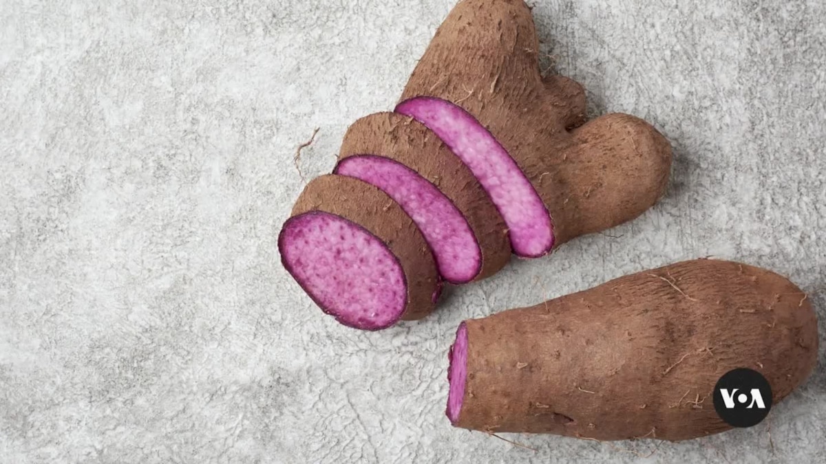 Purple Yam Native to Philippines Enjoys Growing Popularity in US
