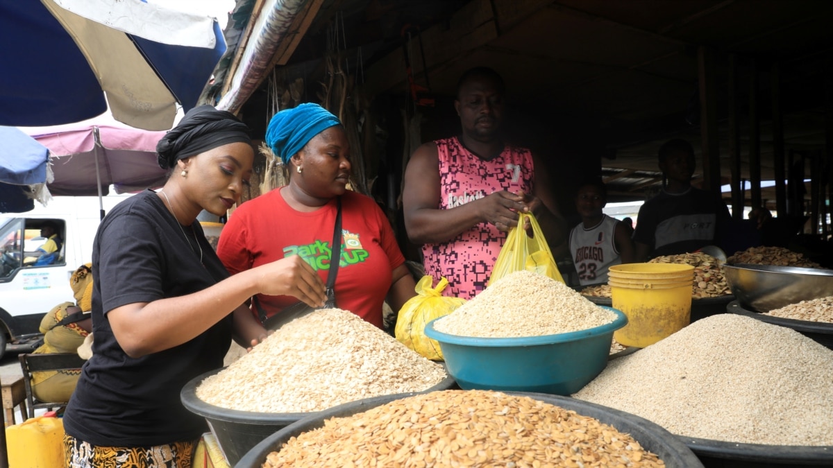 African Seed Trade Members Meet to Boost Seed Adoption, Distribution