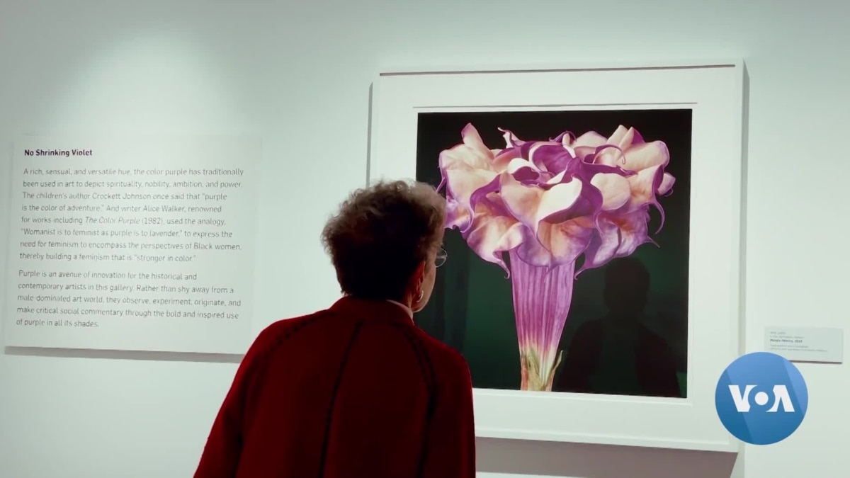 National Museum of Women in the Arts Reopens in DC