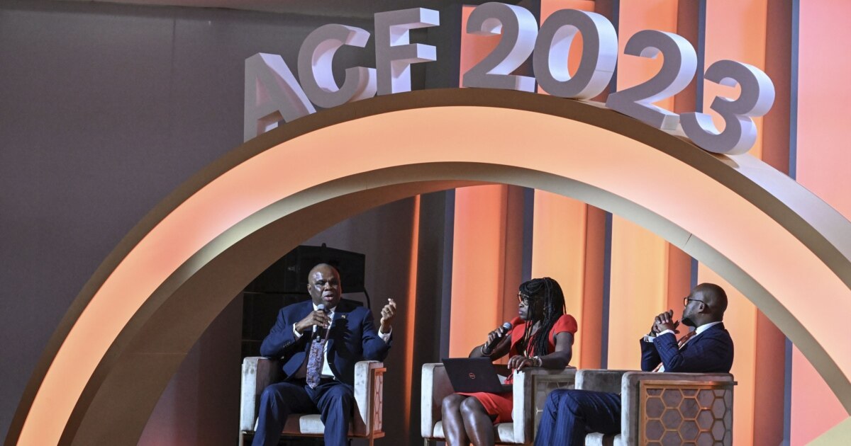 Faute de marché commun, le secteur privé africain manque de "champions"