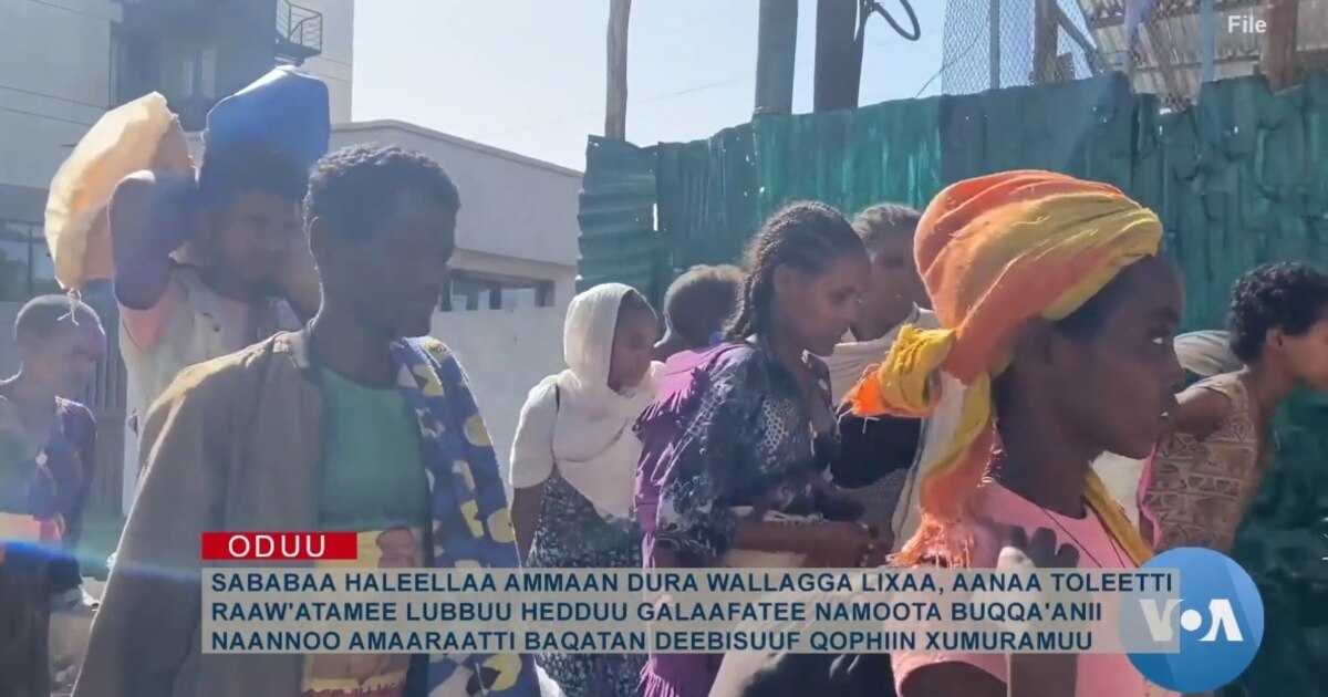 Wallagga Lixaa, Ganda Toleetti Haleellaa Raaw'atamee Tureen Buqqa'anii ...