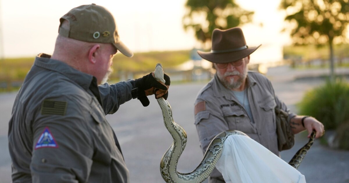 Florida’s Snake Hunters