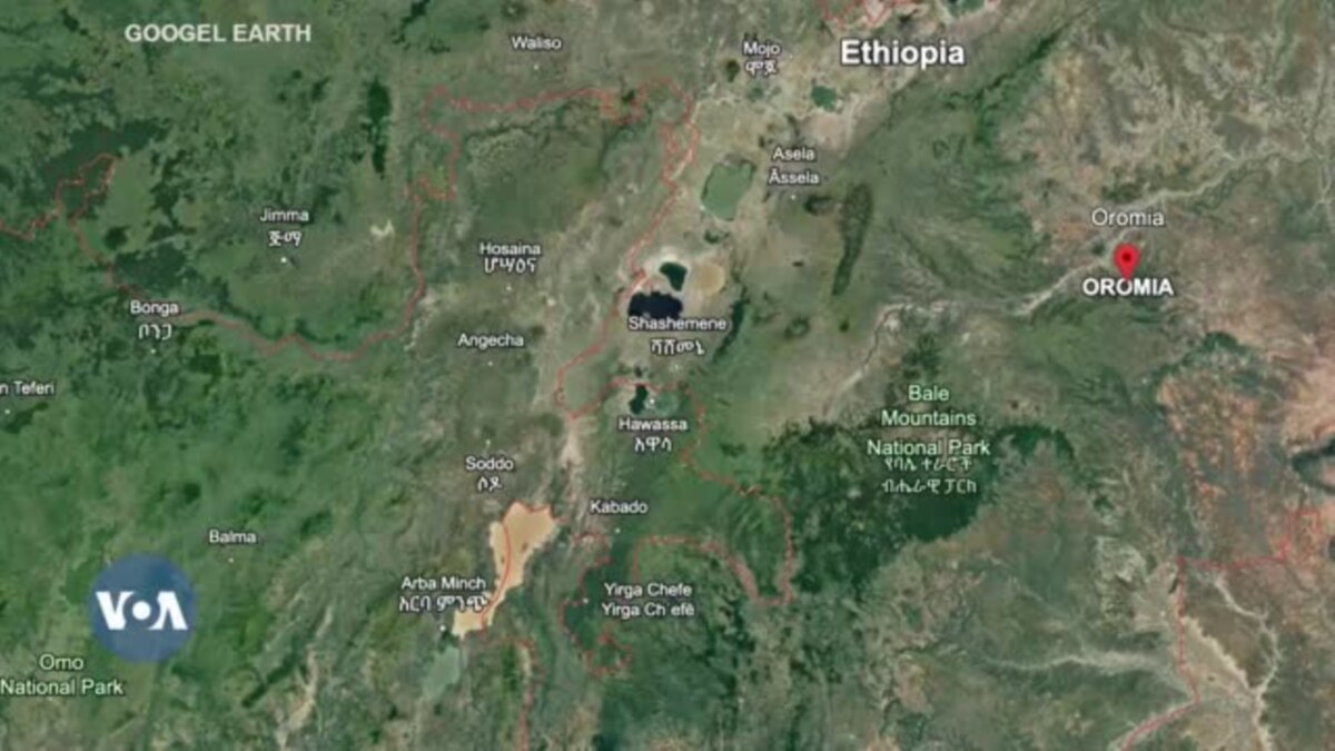 Yaayaa Gullallee, Magaalaa Fittaalitti Lola Humnoota Mootummaa WBO ...