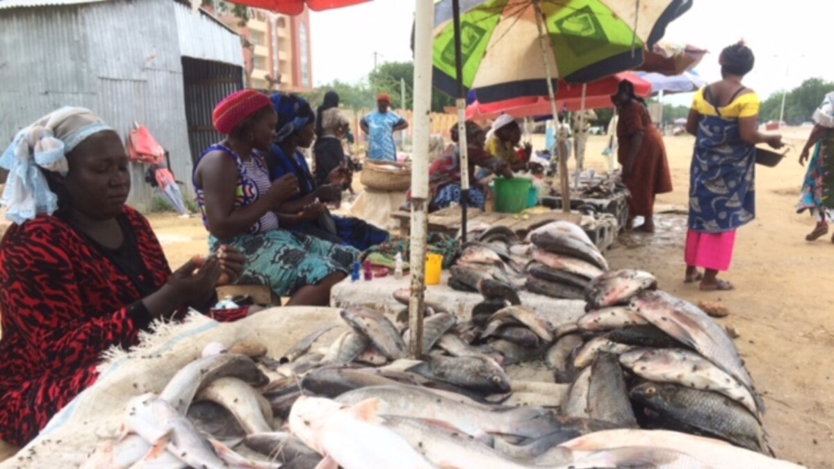 Le poisson frais se vend de manière anarchique à N’Djamena