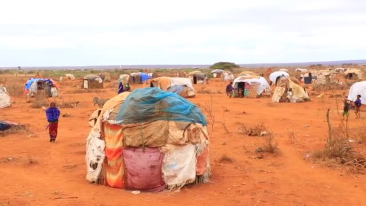 Boorana Keessatti Jiraattonni Kuma Hedduun Sababaa Hongeetiin Buqqa’an ...