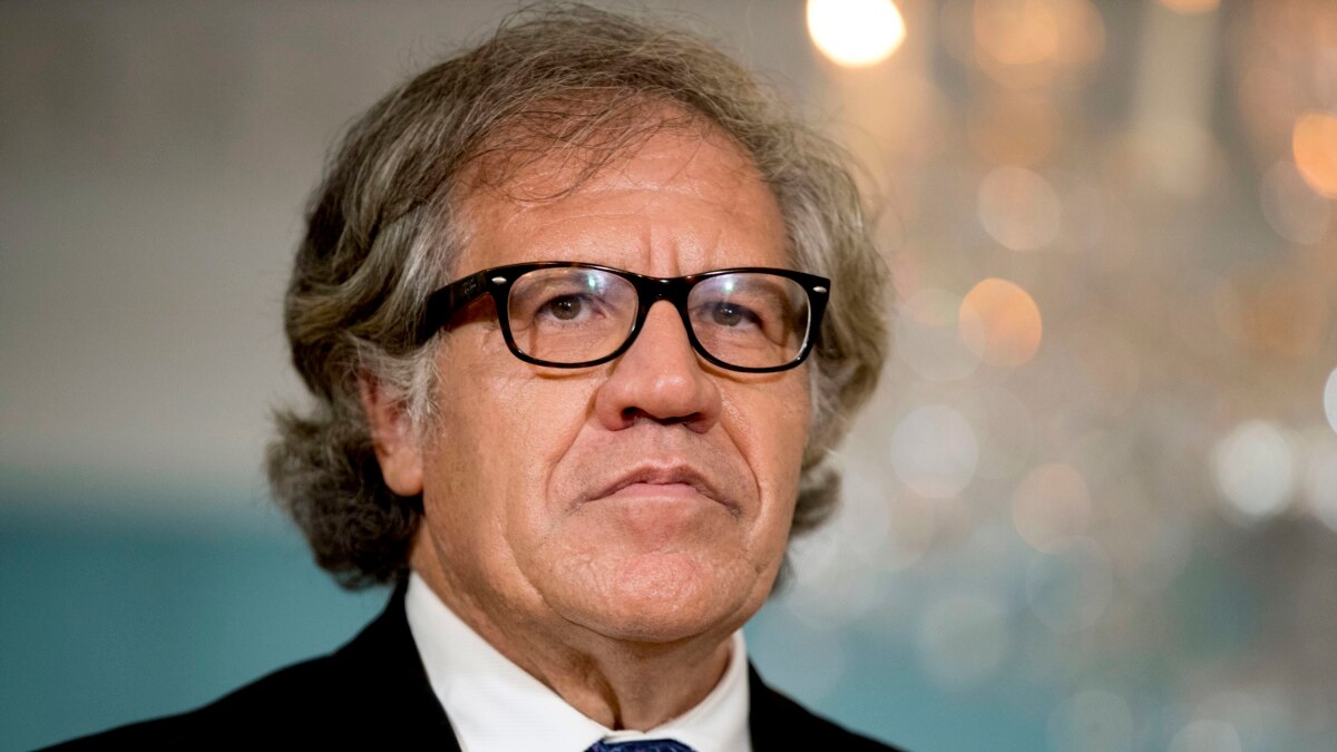 Sal Simon's Instagram, Twitter & Facebook on IDCrawl