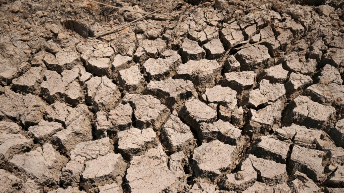 African Nations Forge Climate Plan