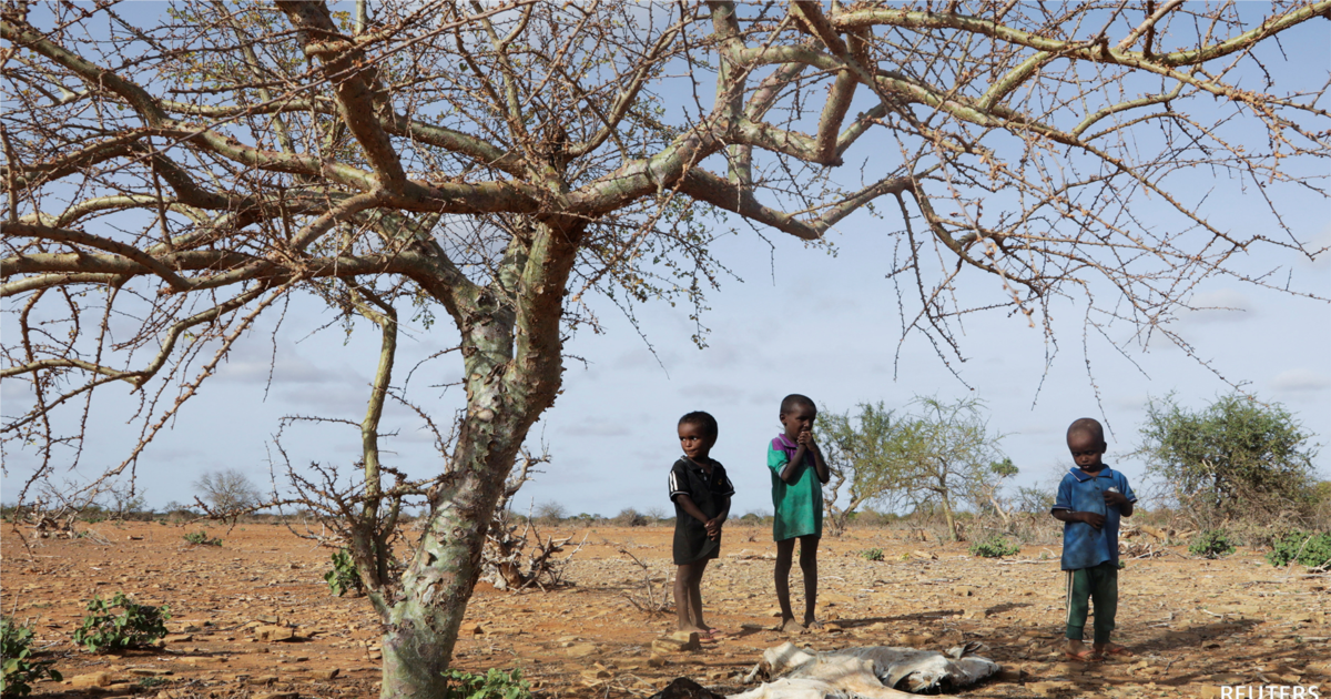 Abaaro weli ka jira qeybo ka mid ah gobolka Gedo