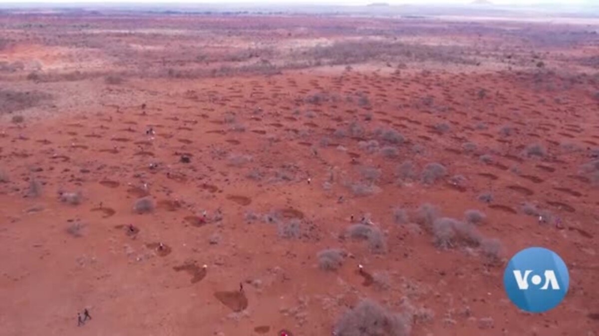 Conservation Group Helps Kenya's Ethnic Maasai Restore Drought-Stricken ...