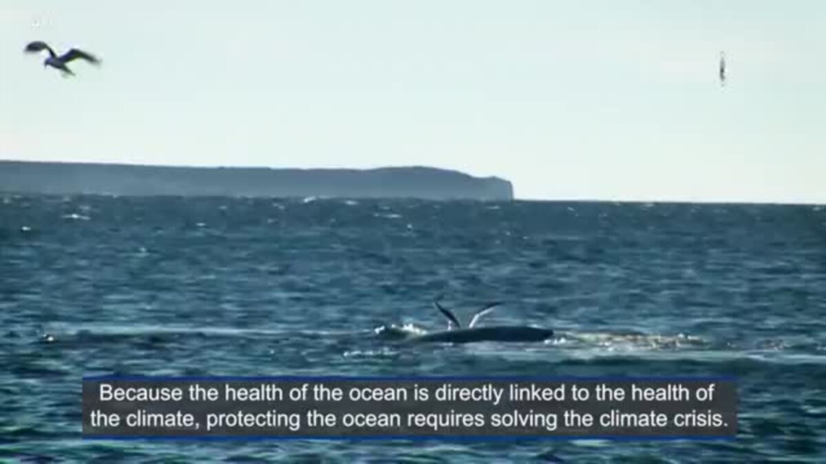 How To Save Our Ocean