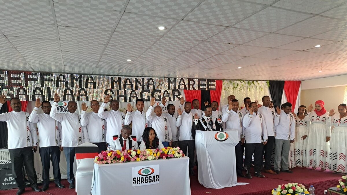 Manni Maree Magaala Shaggar Hundeeffame. Jiraattonni Komii Qabu