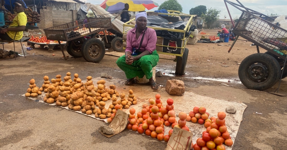 IMF Says Zimbabwe Should Speed up Currency Reforms