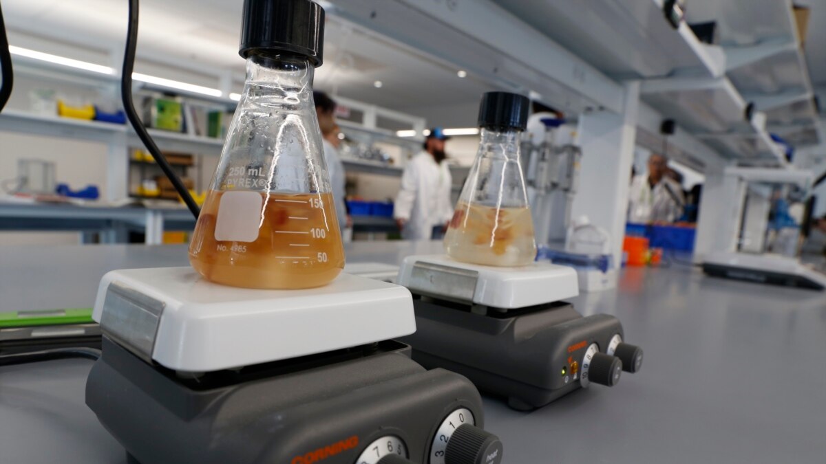 Fight to Curb Food Waste Increasingly Turns to Science