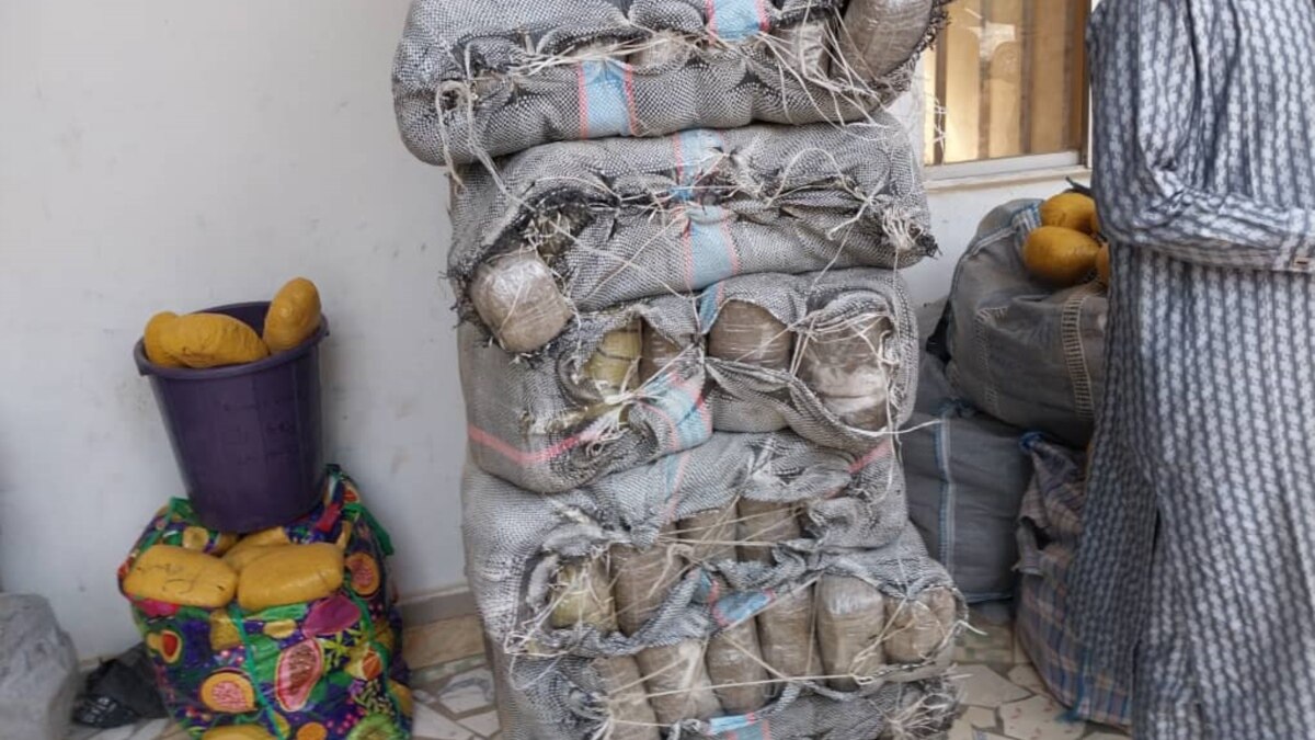 Shigar Matan Aure Harkokin Shaye-Shaye A Kano Babban Kalubale Ne - NDLEA