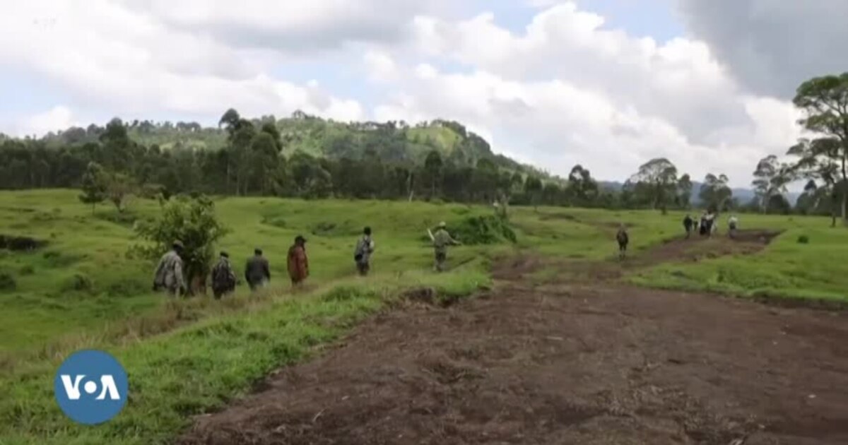 RDC : profil d'un chef de milice qui s'insurge contre le M23