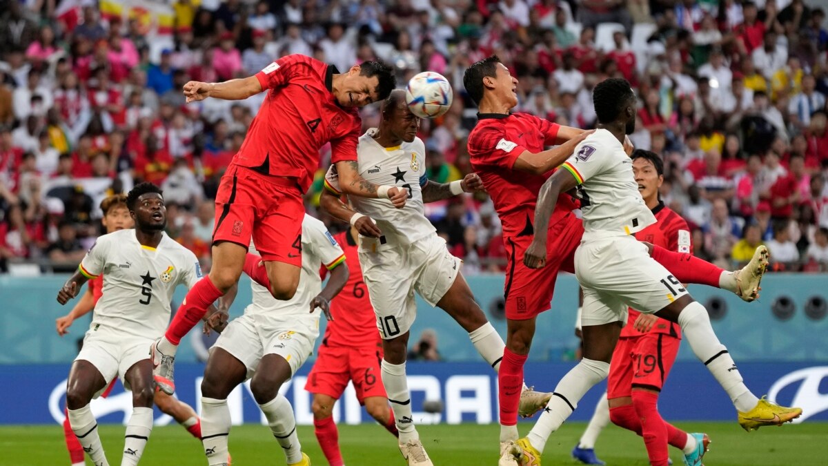 Taphni Kubbaa Miillaa Adduunyaa Torban Lammaffaa Qabate