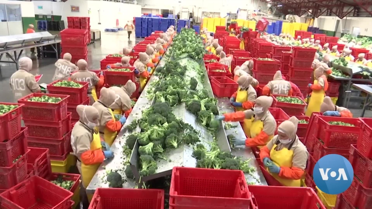 Ecuador, China Finalize Free Trade Deal Potentially Worth Billions