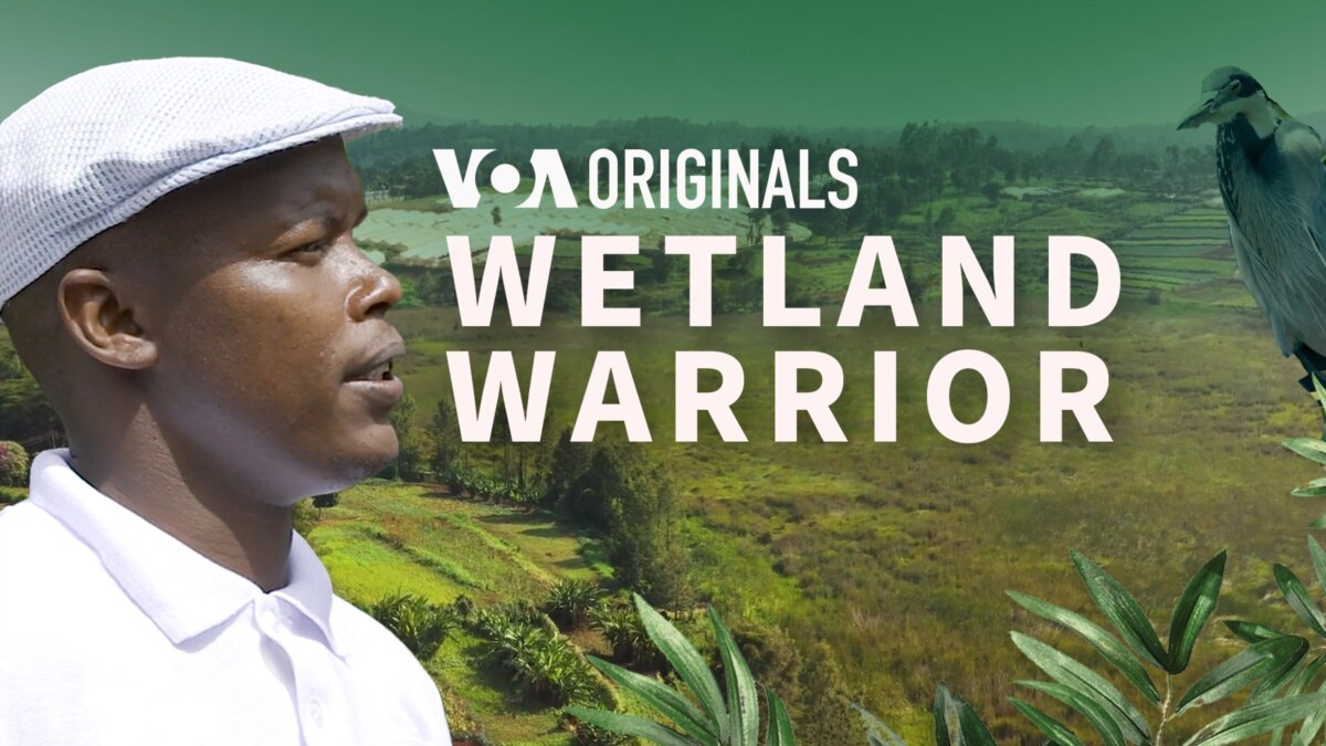 Preview: Wetland Warrior