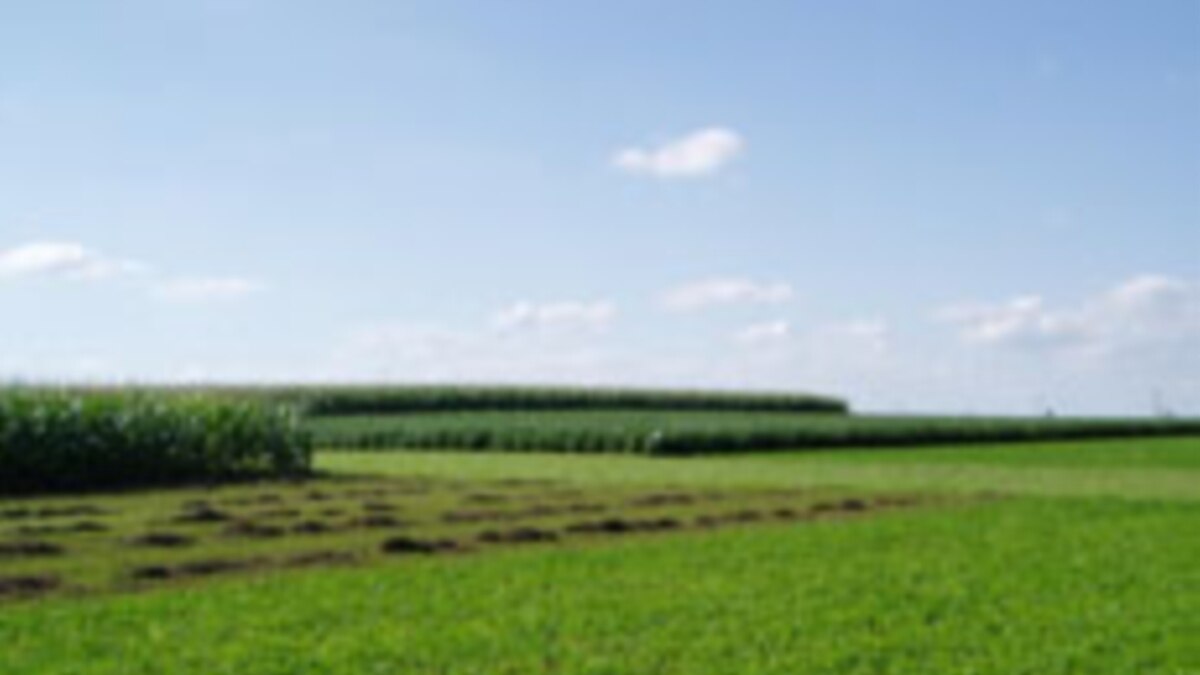 Farming with Less Fossil Fuel Won't Mean Fewer Crops