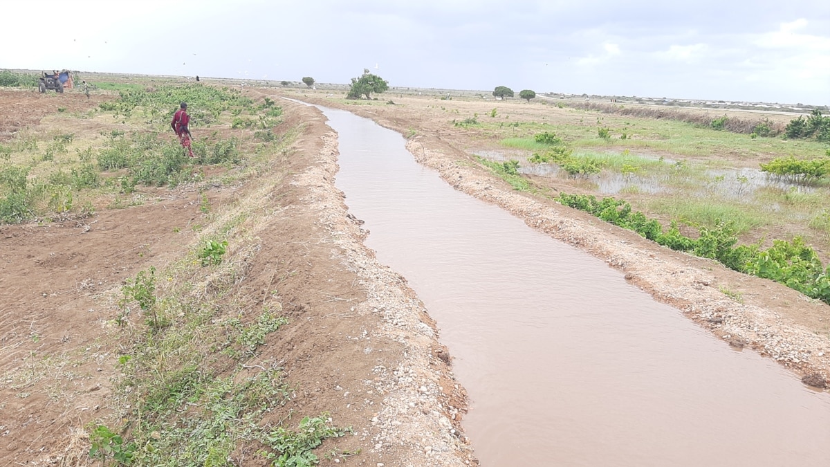 Wabiga Jubba oo ku fatahay dhul-beereed ku yaalla deegaanka Jamaame ee ...