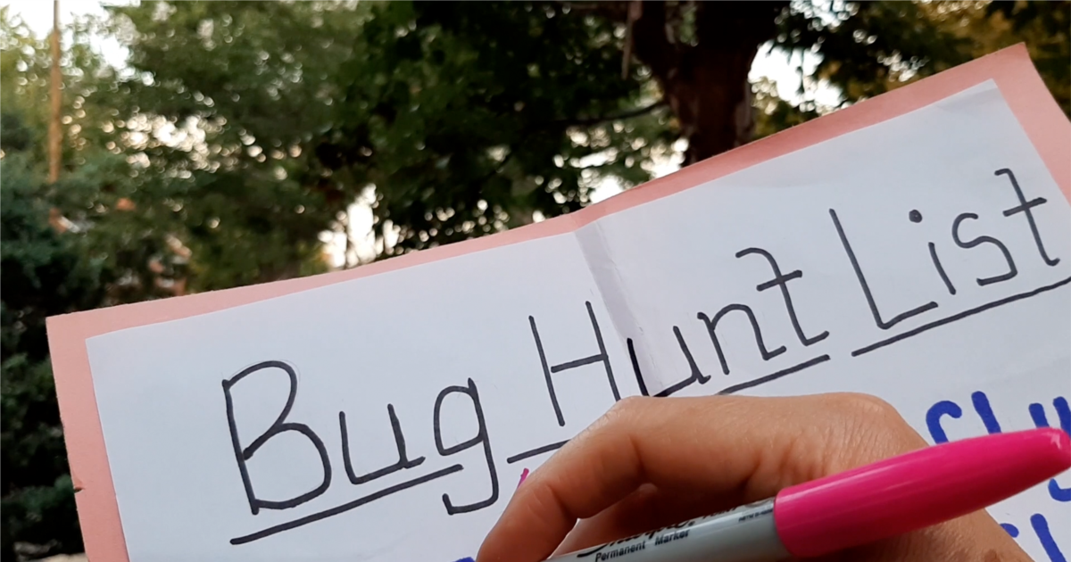 Quiz - Lesson 14 - What Is Your Favorite Bug?