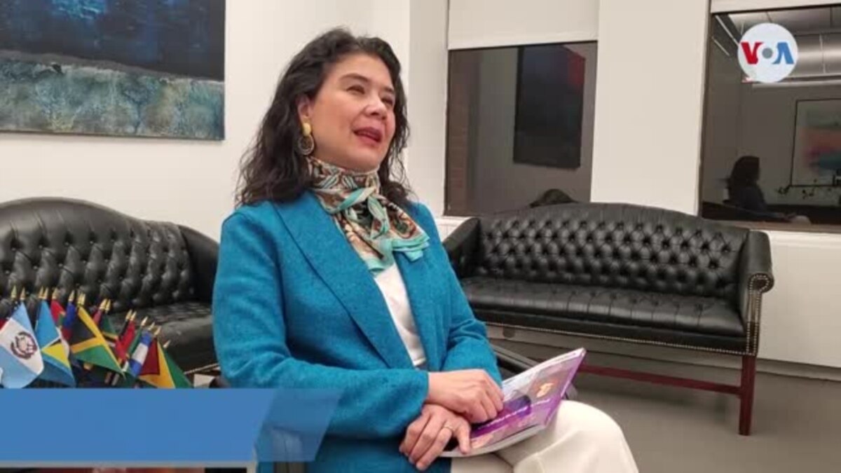 Secretaria Ejecutiva CIDH -Tania Reneaum- entrevista.2