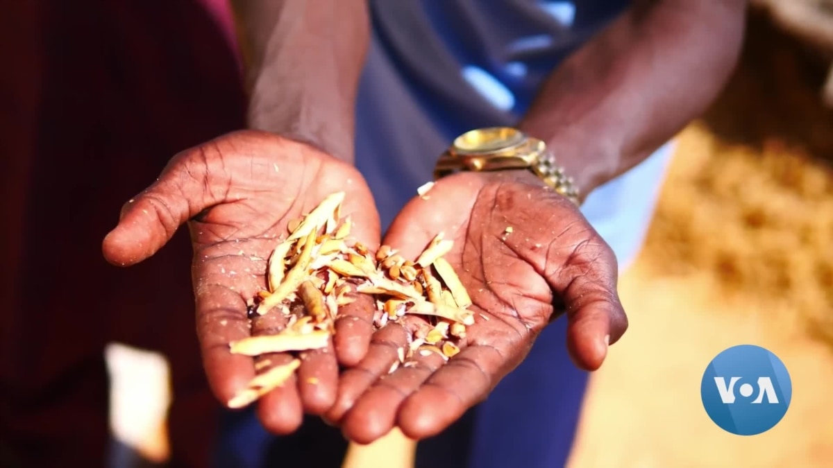 Niger Official Urges International Community to Make Climate Loss Fund ...