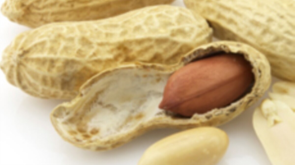 Study: Early Peanut Exposure May Prevent Allergies