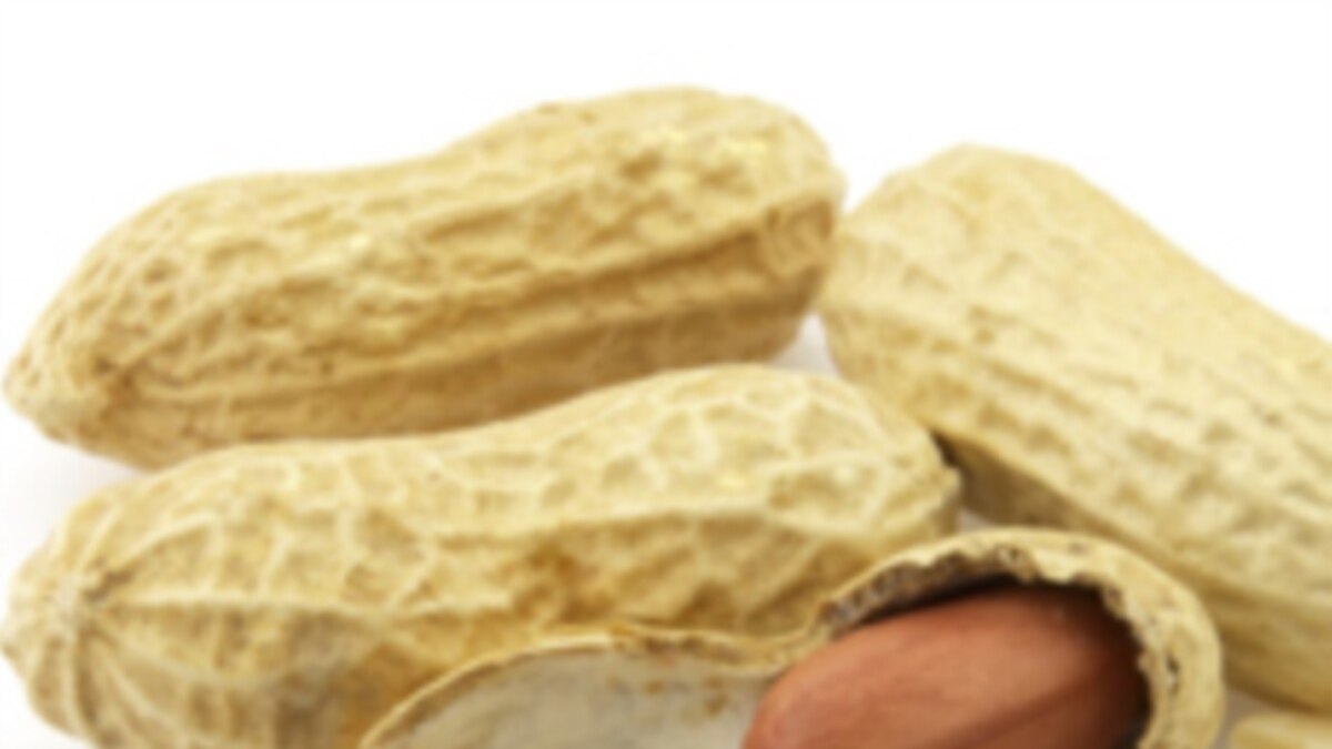 Study: Peanut Therapy Cures Kids' Allergies