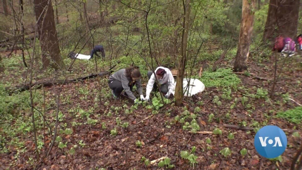 Earth Day Angst: Young People Cope with Sense of Urgency, Hopelessness ...