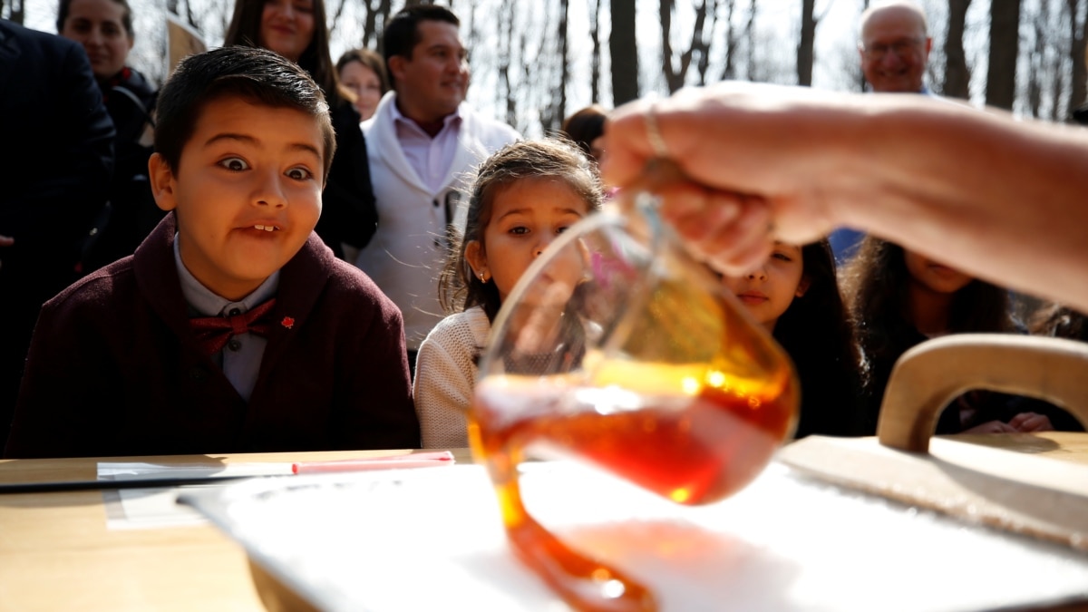 Immigrant or Refugee? In Canada, All Are ‘Newcomers’