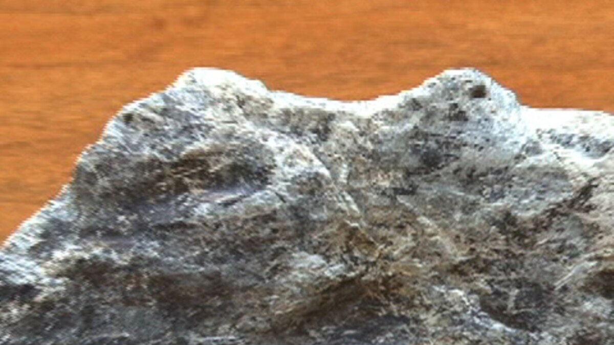 Californians Debate Fate of Official State Rock